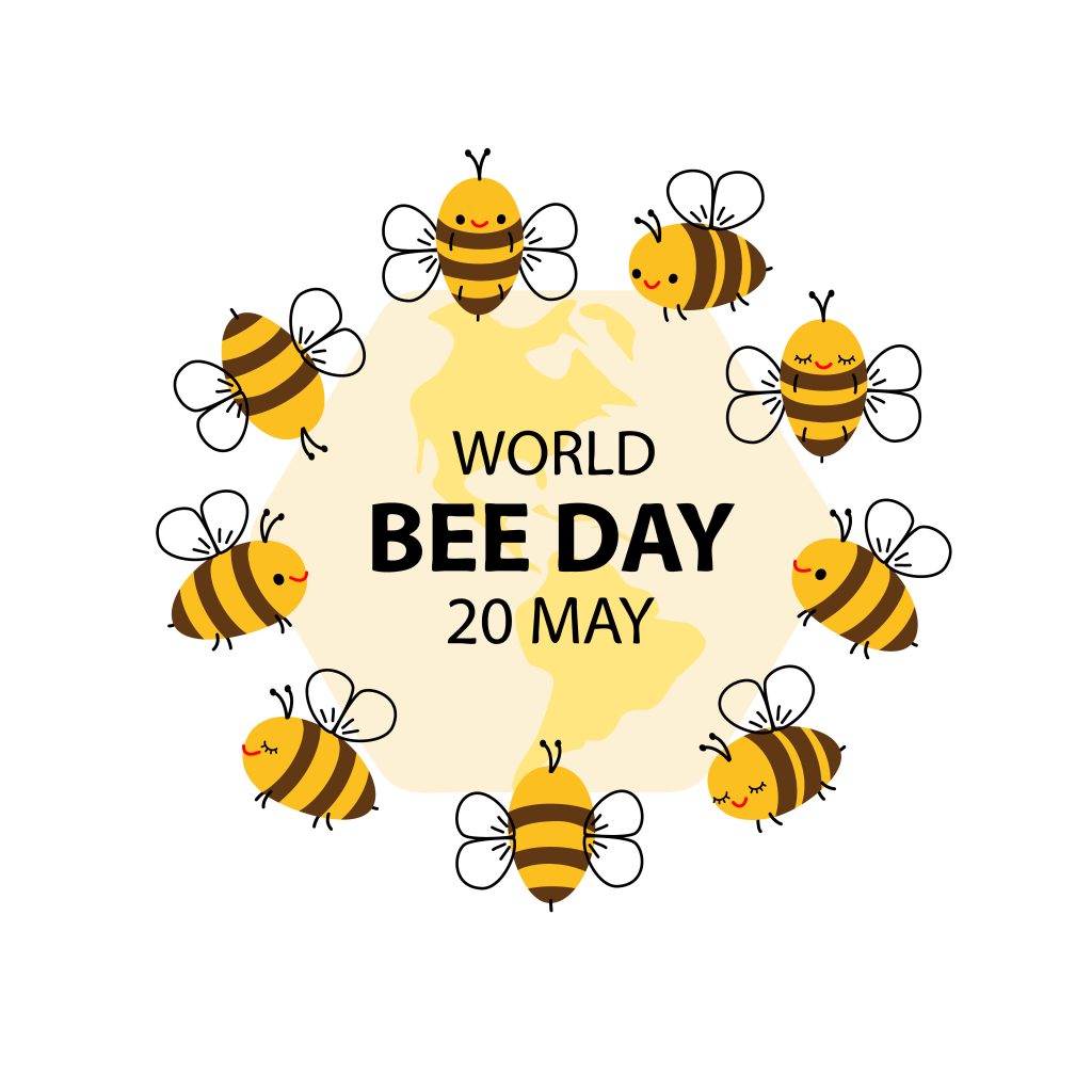 World Bee Day, 20 May – Sisters of Mercy of Newfoundland