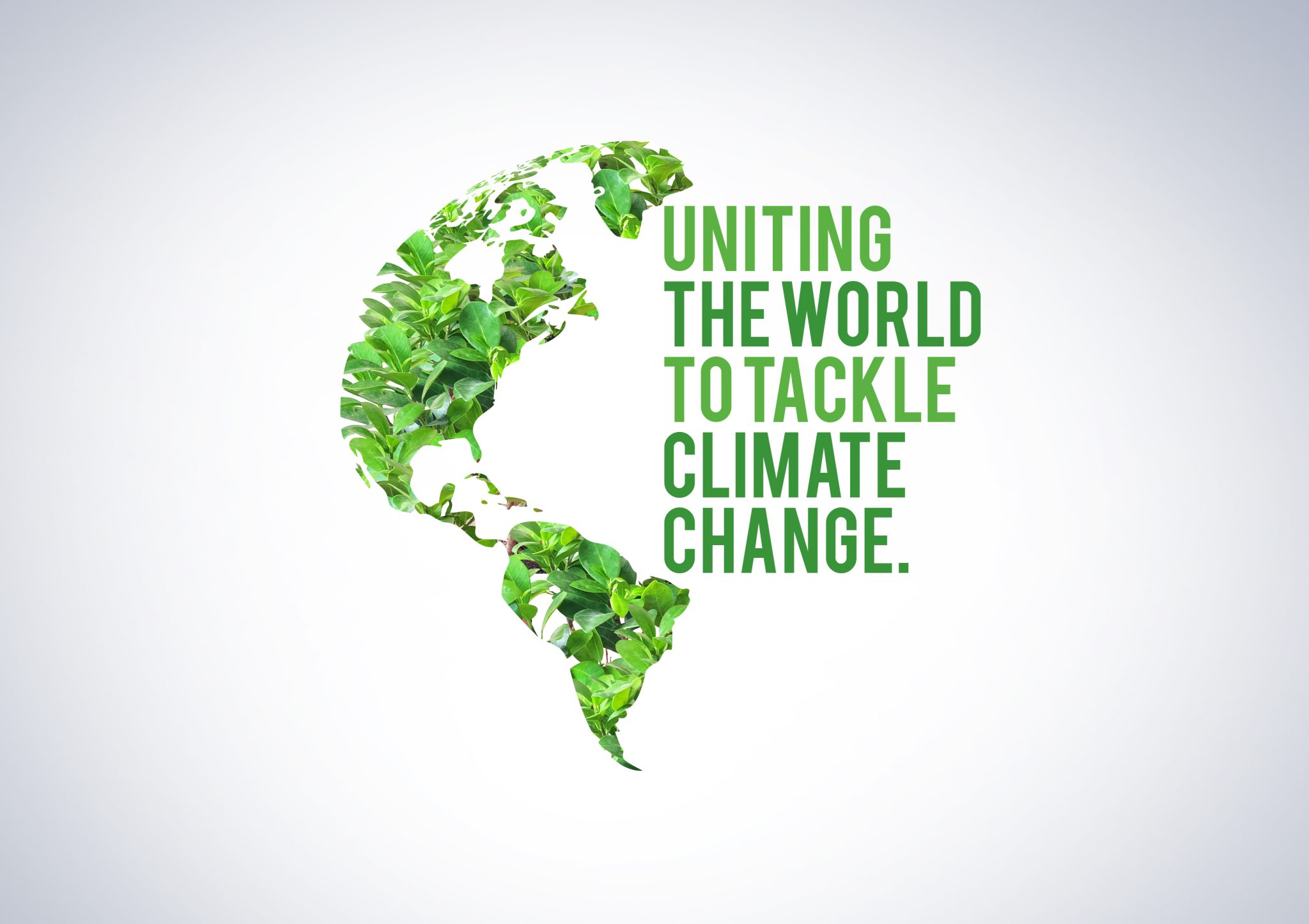 Pope Francis Writing a Second Part of Laudato si’ – Sisters of Mercy of ...