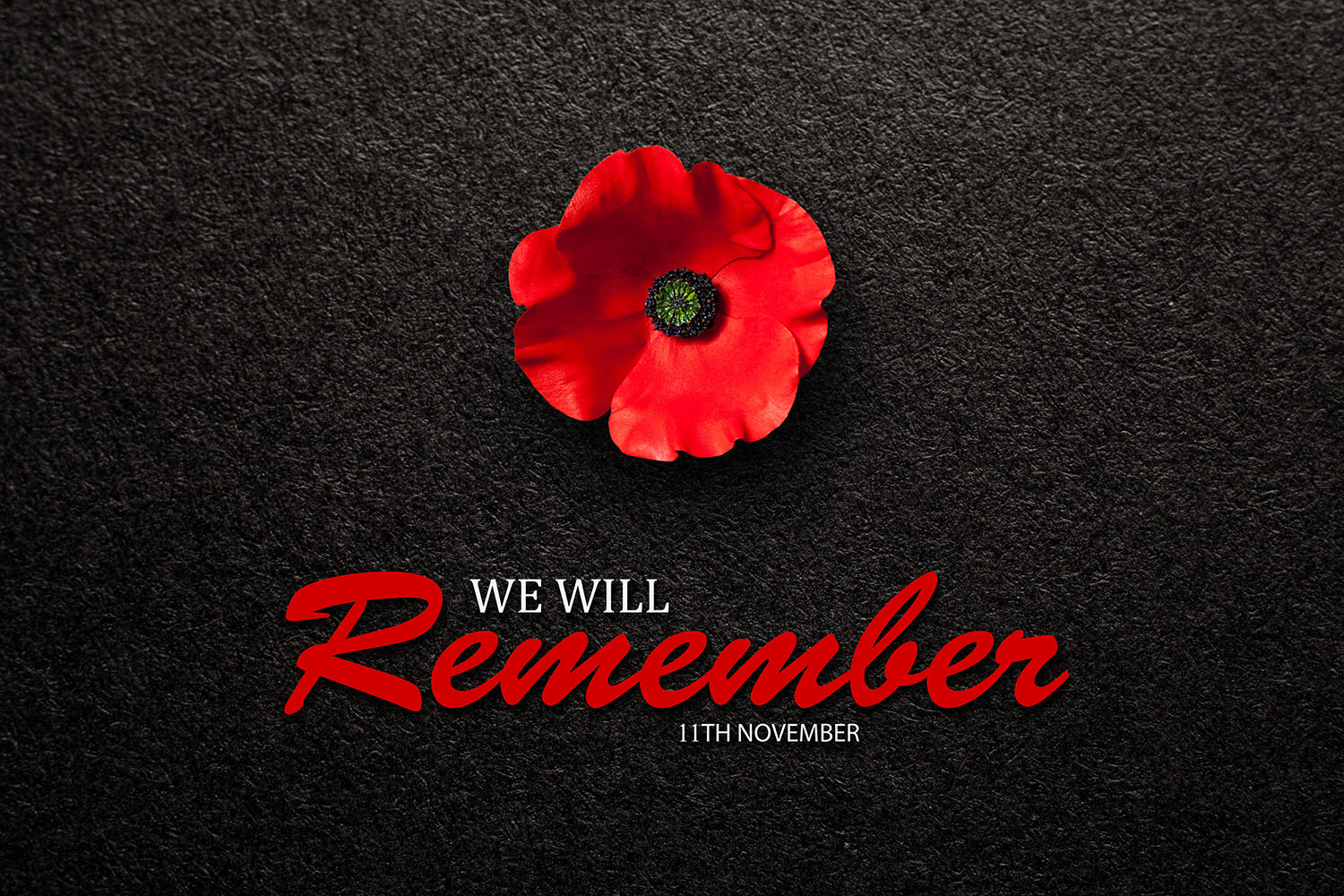 Remembrance Day, 11 November – Sisters of Mercy of Newfoundland