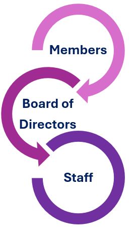 Structure – Sisters of Mercy of Newfoundland