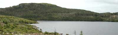 Taking Action to Save Sandy Pond – Sisters of Mercy of Newfoundland